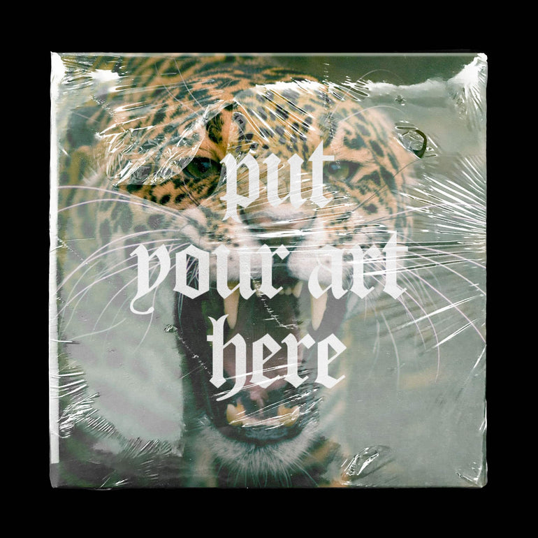 Design Syndrome Asset Collection for the modern creative! – design syndrome