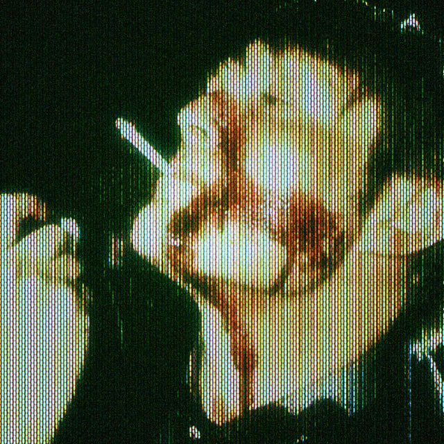 CRT Photoshop Template – design syndrome