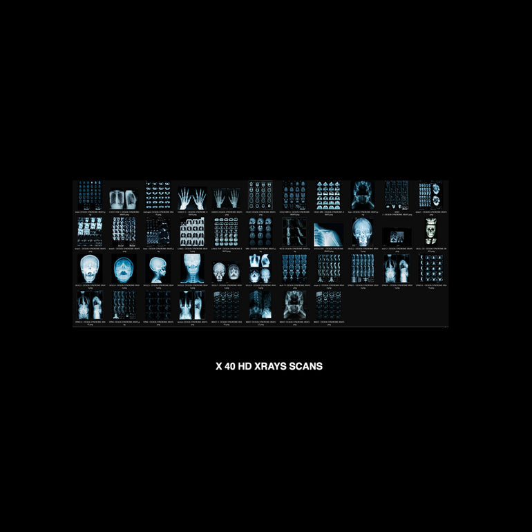 Design Syndrome Asset Collection for the modern creative! – design syndrome